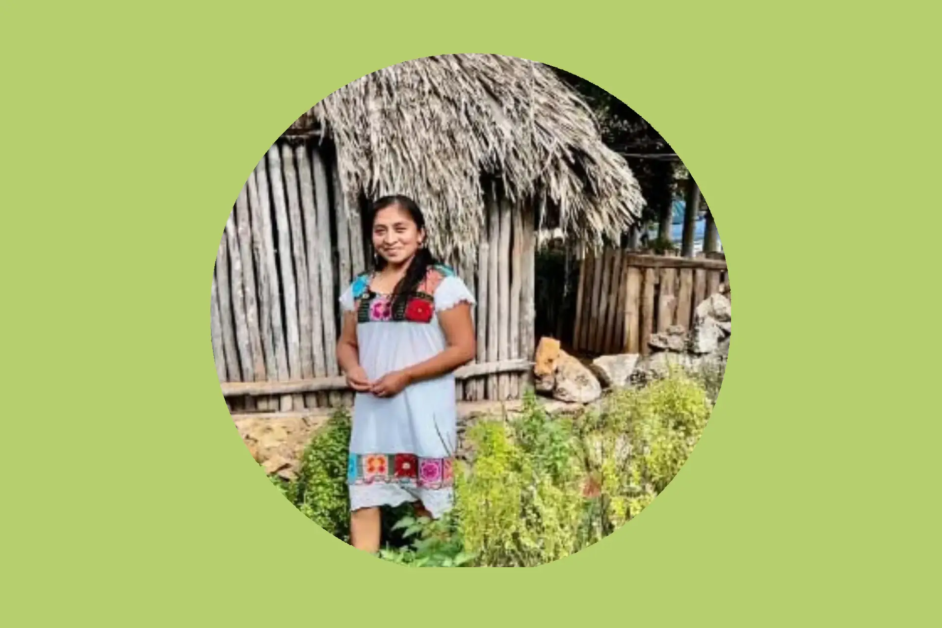 Celebrating Maya Beekeepers and Bees | MMBS