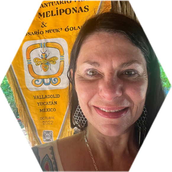 Mayan Melipona Bee Conservation - Yucatan's Sacred Bees