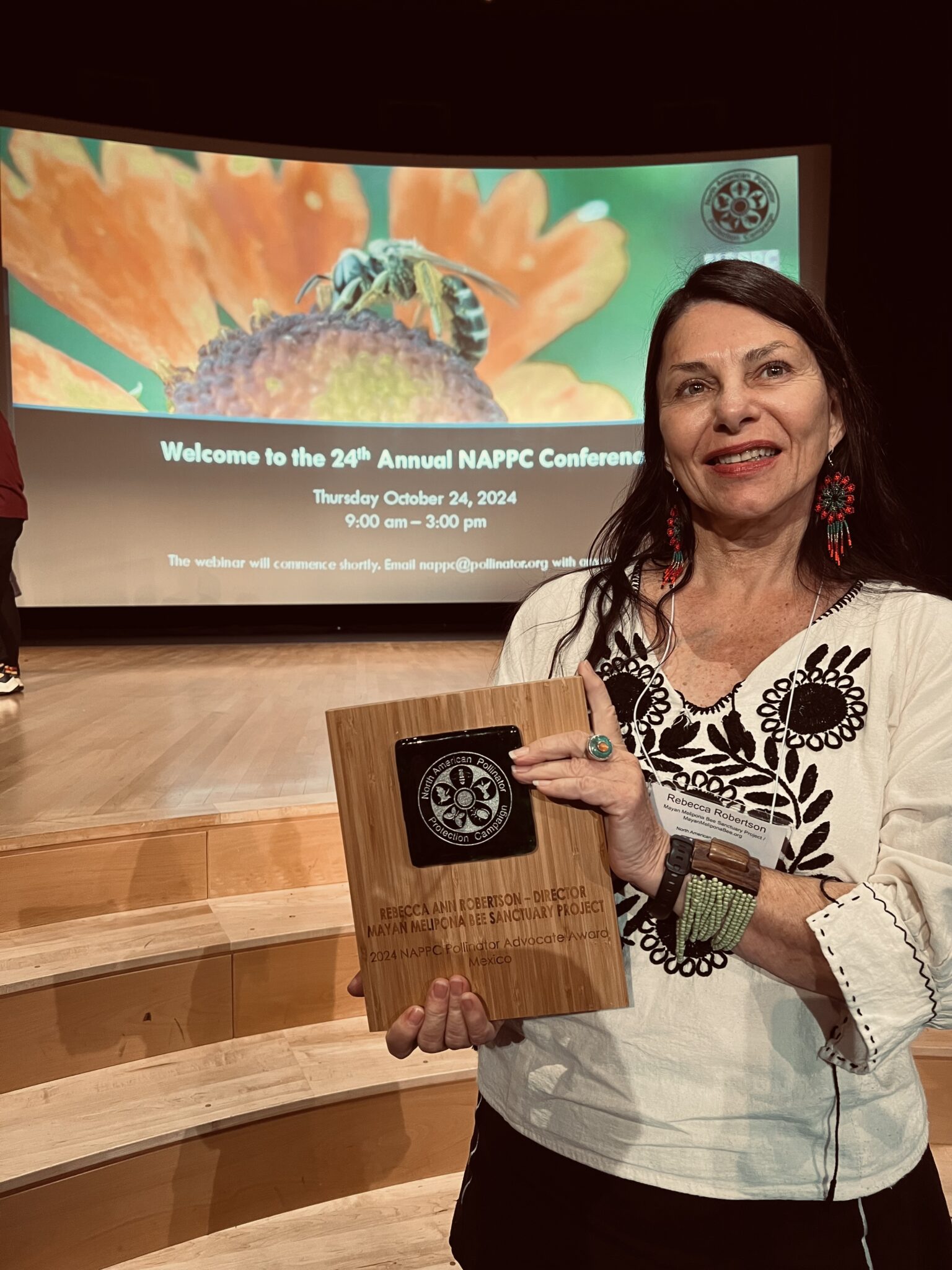 Mayan Melipona Bee Conservation - Yucatan's Sacred Bees