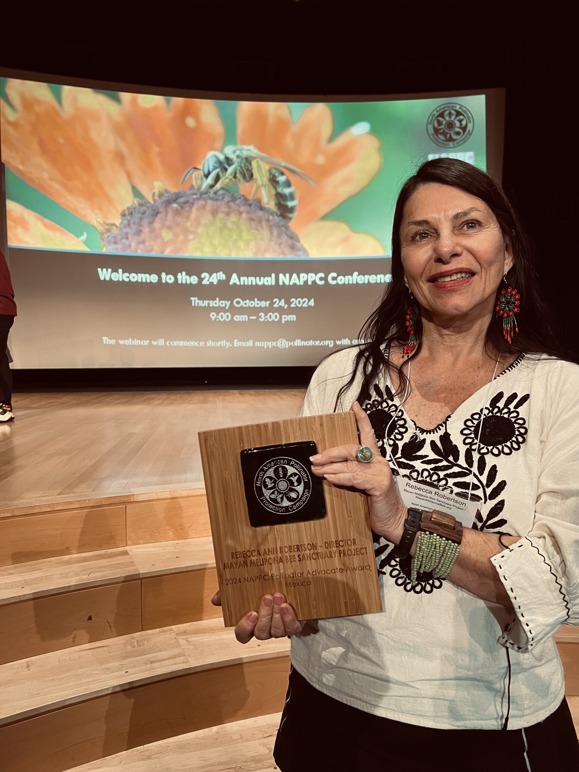 Mayan Melipona Bee Conservation - Yucatan's Sacred Bees