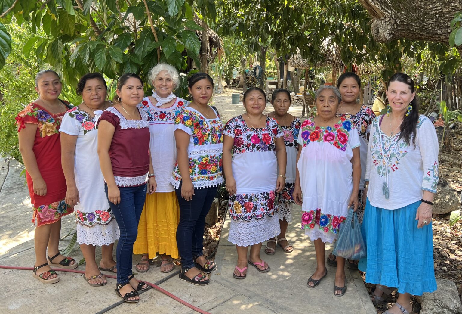 Mayan Melipona Bee Conservation - Yucatan's Sacred Bees
