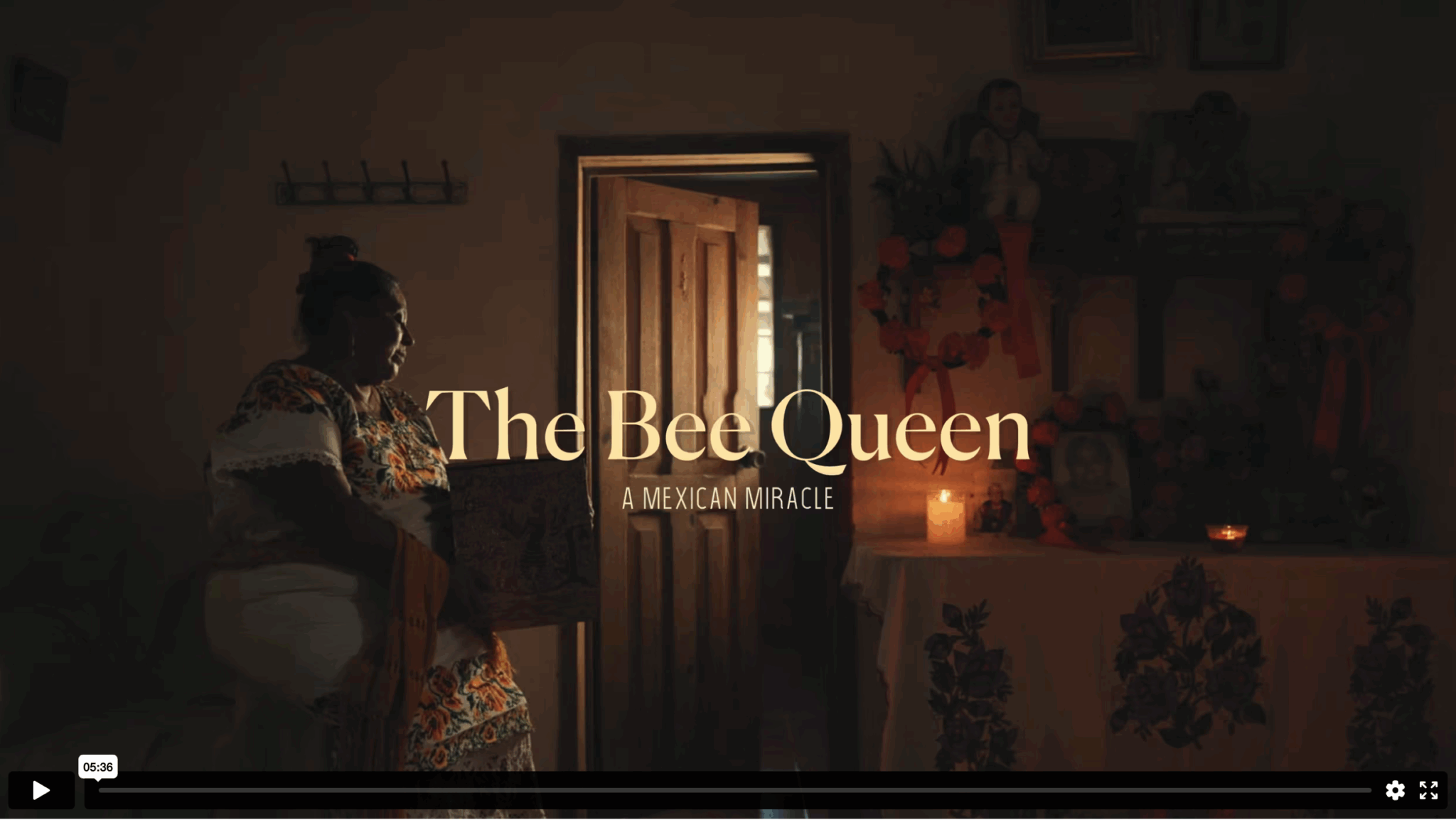 Mayan Melipona Bee Conservation - Yucatan's Sacred Bees